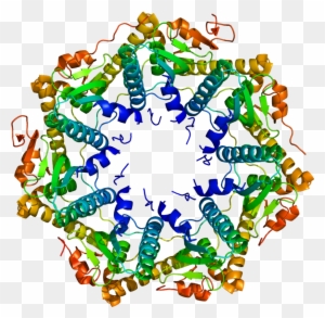 Clp Protease - Free Transparent PNG Clipart Images Download