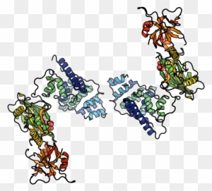 Human Dna Ligase Iv With Atp - Illustration - Free Transparent PNG ...