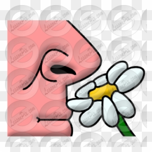Smell Picture For Classroom / Therapy Use Great Smell - Smell Picture ...