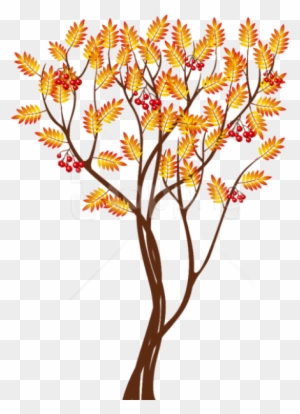 Free Png Download Transparent Autumn Tree Png Images - Autumn Tree ...
