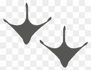 Icon Transparent Png - Animal Feet Print Background - Free Transparent ...
