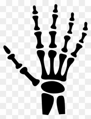 Bone Parts Hands Human People Hand Bones - Skeleton Hand Svg - Free ...