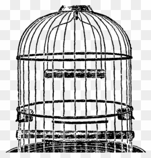Cage Clipart Antique Birdcage - Birdcage Drawing - Free Transparent PNG ...
