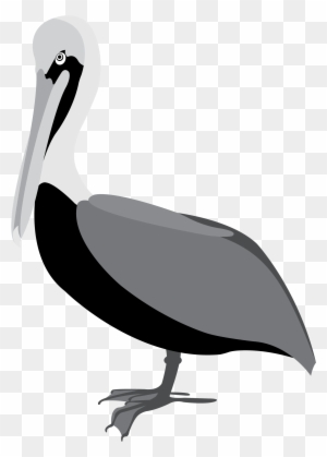 Pelican Clip Art, Transparent PNG Clipart Images Free Download - ClipartMax