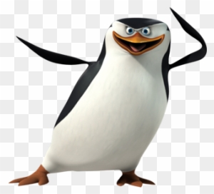 Kowalski Penguin Madagascar Dreamworks Wallpaper - Penguins From ...
