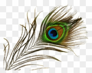 Mor Pankh Clipart - Peacock Feather Png File - Free Transparent PNG ...