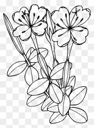Flower Line Drawing Flowers Line Drawing Free Download - Day Of The ...