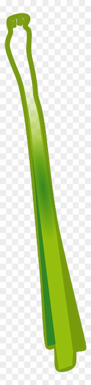 Spring Onion Vector Png - Free Transparent PNG Clipart Images Download