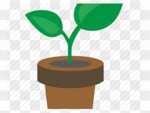 Potted Plants Clipart Short Tree - Illustration - Free Transparent PNG ...