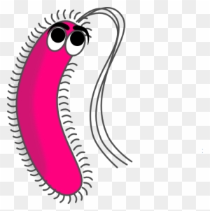 Bacteria, Transparent PNG Clipart Images Free Download , Page 3 ...