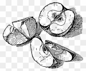 Drawn Apple Apple Slice - Apple Slice Drawing - Free Transparent PNG ...