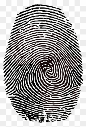 A Graphical Representation Of A Fibonacci Sequence - Golden Ratio ...