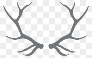 Drawn Antler Tangled - Transparent Antlers Png - Free Transparent PNG ...
