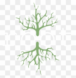 Root-01 Format=1500w - Root-01 Format=1500w - Free Transparent PNG ...
