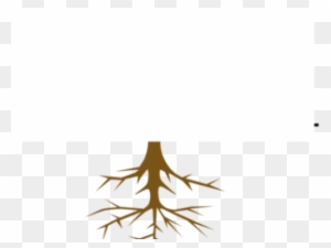 Tree And Roots Colour Illustration Transparent Png - Tree With Roots ...