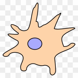 Cell, Transparent PNG Clipart Images Free Download - ClipartMax