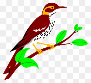 Thrush Bird Clipart - Clip Art Brown Bird - Free Transparent PNG ...
