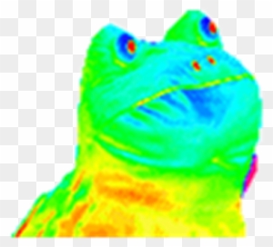 Mlg Frog Transparent - Rainbow Toad Gif - Free Transparent PNG Clipart ...