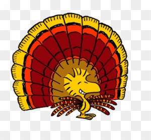 Graphics For Peanuts Thanksgiving Graphics - Charlie Brown Thanksgiving ...