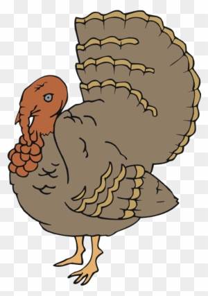 Turkey With Feathers Clip Art - Turkey Graphic Organizer - Free ...