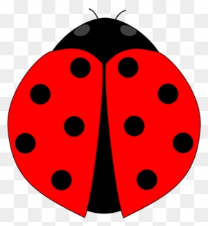Bugs Clipart Insects Clip Art Ladybug Lady Bug Bee - Bugs Clipart ...