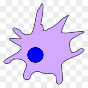 Dendritic Cell Cartoon