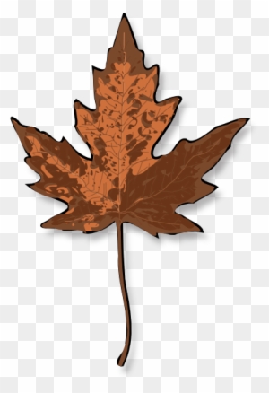 Foliage Clipart Brown Leaf - Maple Leaf Clip Art - Free Transparent PNG ...