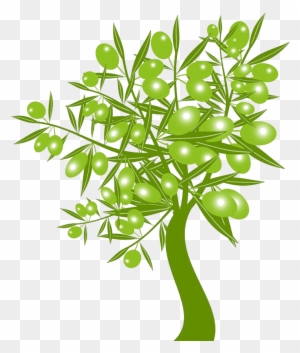 Olive Tree Clipart, Transparent PNG Clipart Images Free Download ...