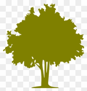 Orange Tree Icon - Free Transparent PNG Clipart Images Download