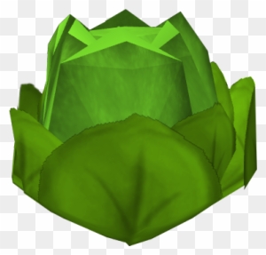 Cabbage Png - Free Transparent PNG Clipart Images Download