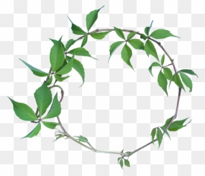 Leaf Garland Clip Art, Transparent PNG Clipart Images Free Download ...