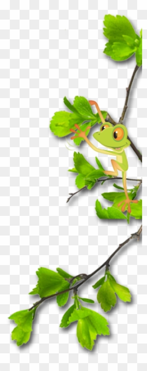 Frog, Transparent PNG Clipart Images Free Download , Page 2 - ClipartMax