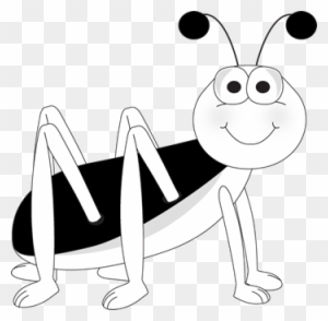 Bug Clipart Black And White Simple