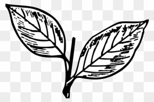 Indian Election Symbol Two Leaves - All India Anna Dravida Munnetra ...