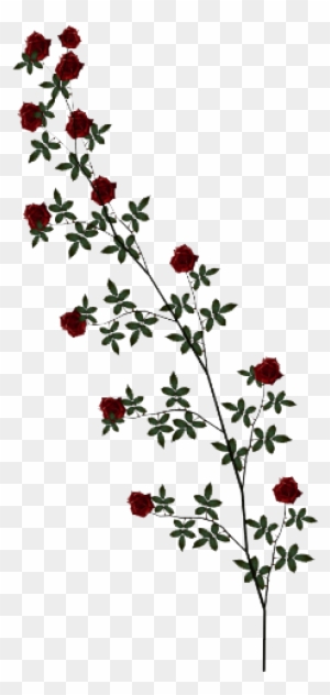 Rose Vine Borders - Roses Corner Border Png - Free Transparent PNG ...