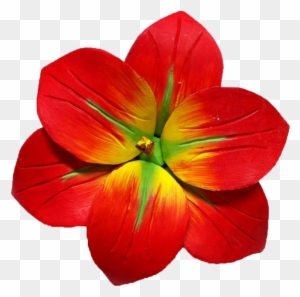 Wooden Amaryllis Flower02 - Png Flower - Free Transparent PNG Clipart ...