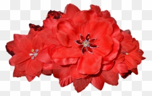 Floral Lace - Lace - Free Transparent PNG Clipart Images Download