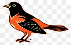 Orioles Clipart, Transparent PNG Clipart Images Free Download - ClipartMax