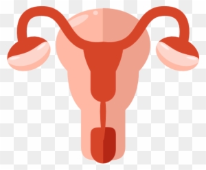 Ask A Gynaecologist - Female Reproductive System Png - Free Transparent ...