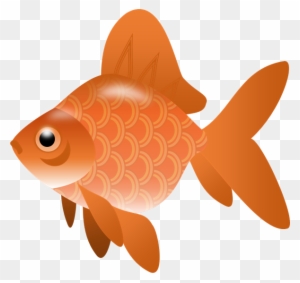 Ocean Fish Png Image - Transparent Background Transparent Fish - Free ...