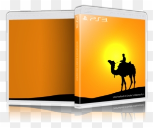 Yes Drake Didn't Have A Camel When He Was Lost In The - Arabian Camel ...