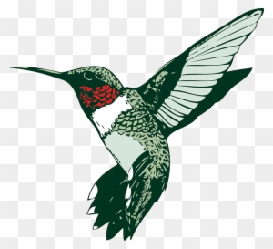 Hummer, Hummingbird, Ruby-throated - Humming Bird Clip Art - Free ...