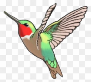 Ruby Throated Hummingbird Clipart, Transparent PNG Clipart Images Free ...