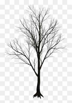 Free Illustrations On Pixabay - Dry Tree Png - Free Transparent PNG ...