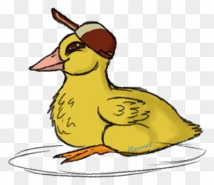 I Only Just Realised How Much I Love Lil Duck, He Would - Duck - Free ...