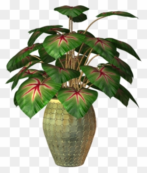 Flower Pot Clipart, Transparent PNG Clipart Images Free Download ...