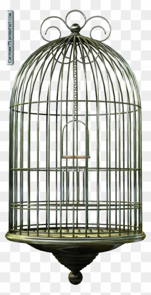 Bird Cage By *cheyenne75 On Deviantart - Cage - Free Transparent PNG ...