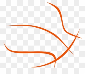 Basketball Decal - Outline Of A Basketball - Free Transparent PNG ...