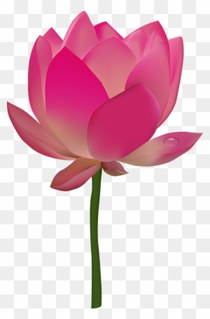 Pink Lotus Flower Clipart, Transparent PNG Clipart Images Free Download ...