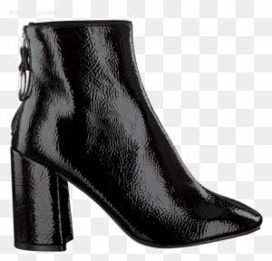 Steve Madden - Free Transparent PNG Clipart Images Download